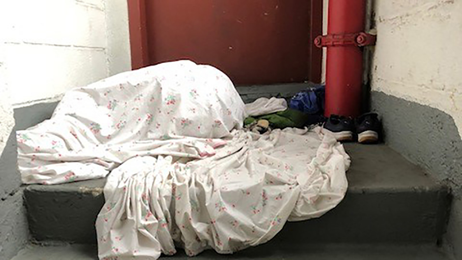 Resident in 3-year battle with NYCHA over Harlem 'homeless invasion ...