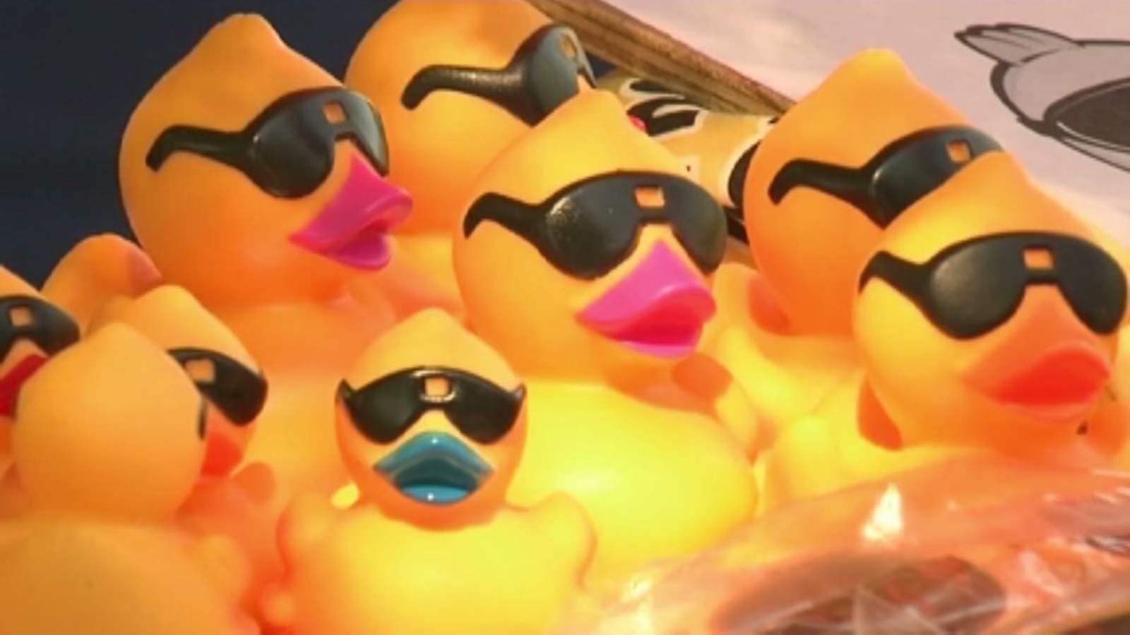 PARENTS BEWARE: Rubber ducks breed bacteria, according to study - ABC13 ...