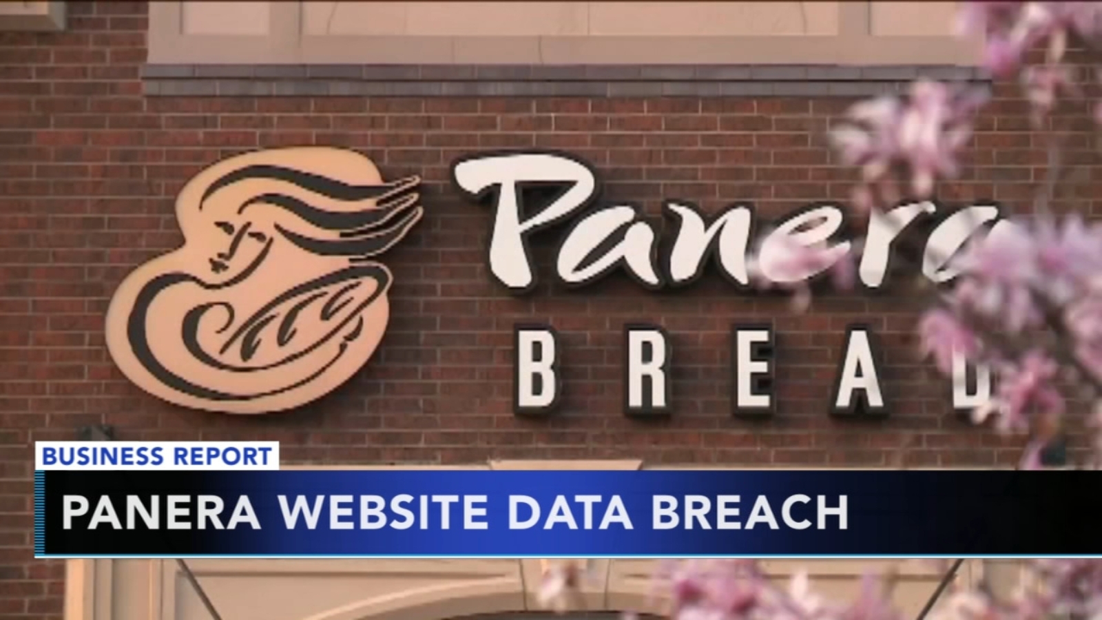 Panera Bread data breach affected 10K customers, company says - 6abc ... Panera Bread data breach affected 10K customers, company says - 6abc ...
