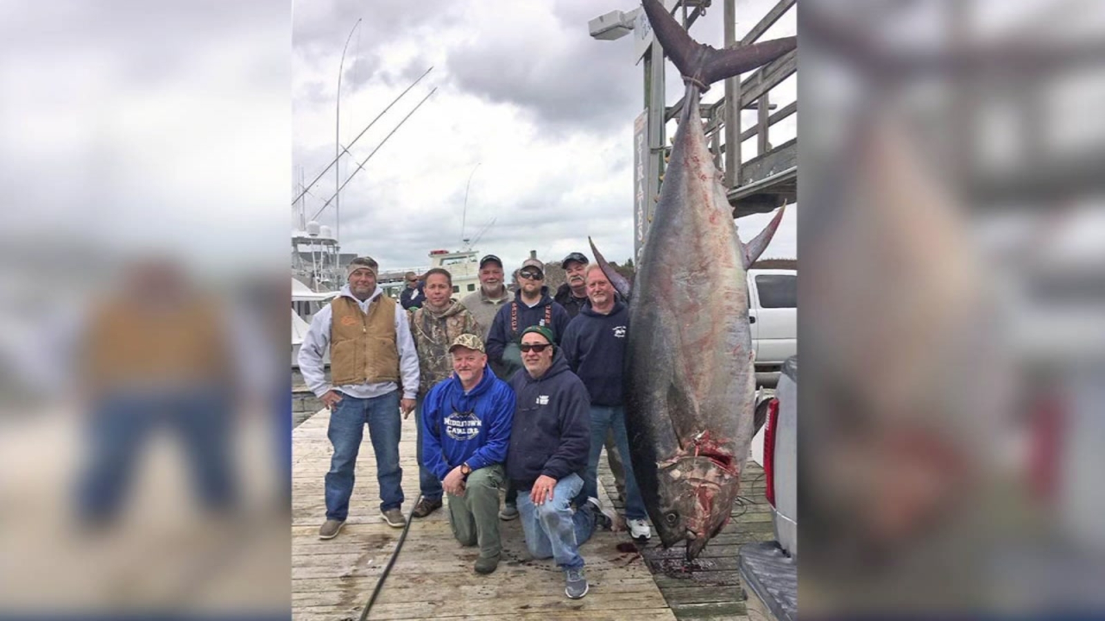 Retired army general hauls in record 877-pound tuna off NC coast ...