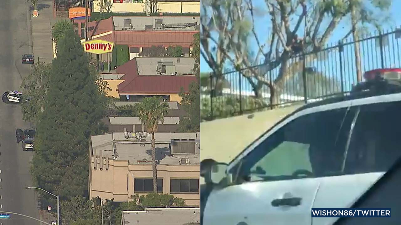 Arson suspect in custody after lighting his jacket on fire, climbing ...