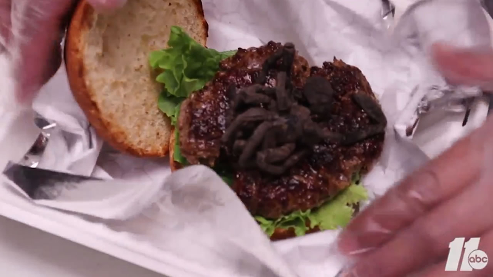 Nope! Restaurant serves up 'tarantula burger' for Exotic Meat Month ...