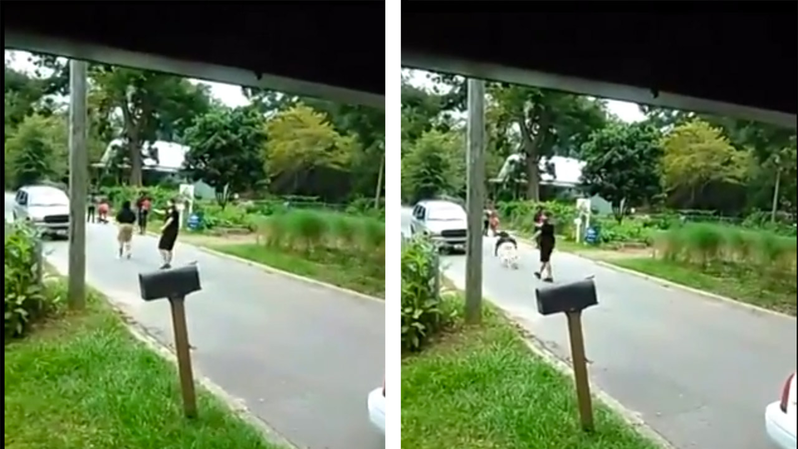 Cellphone Video Captures Moment Police Taser Woman Cop Placed On Paid
