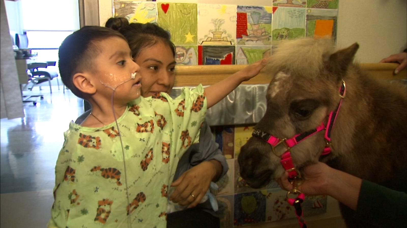 Therapy horses bring joy to pediatric patients at Loyola University ...