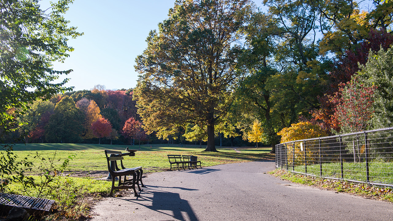 New Prospect Park