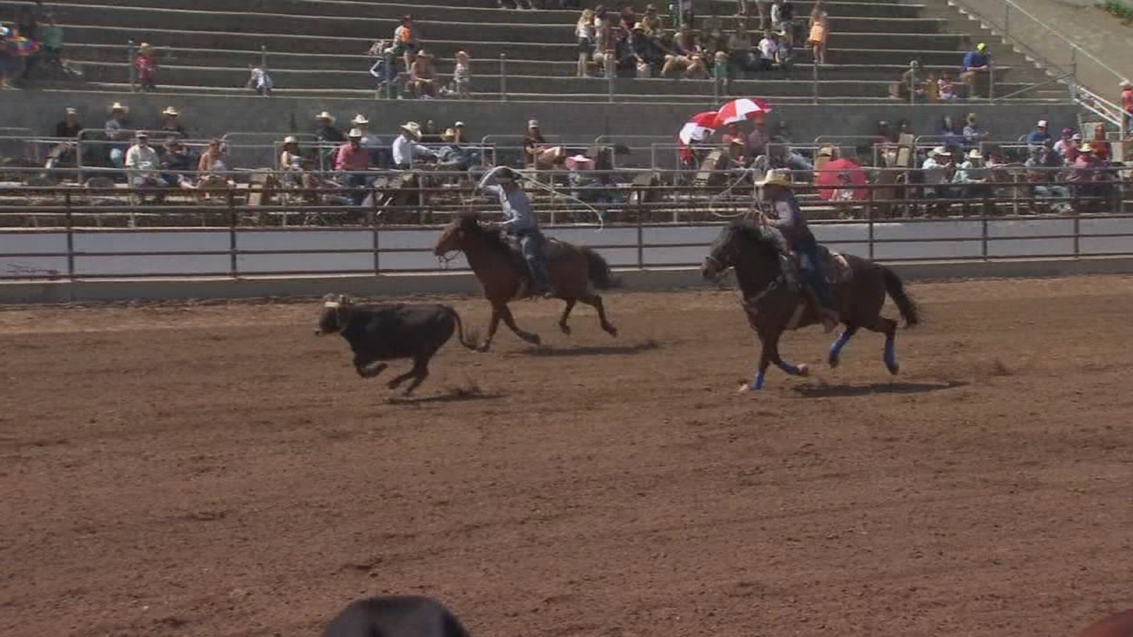 Time to saddle up for the 104th Clovis Rodeo! - ABC30 Fresno
