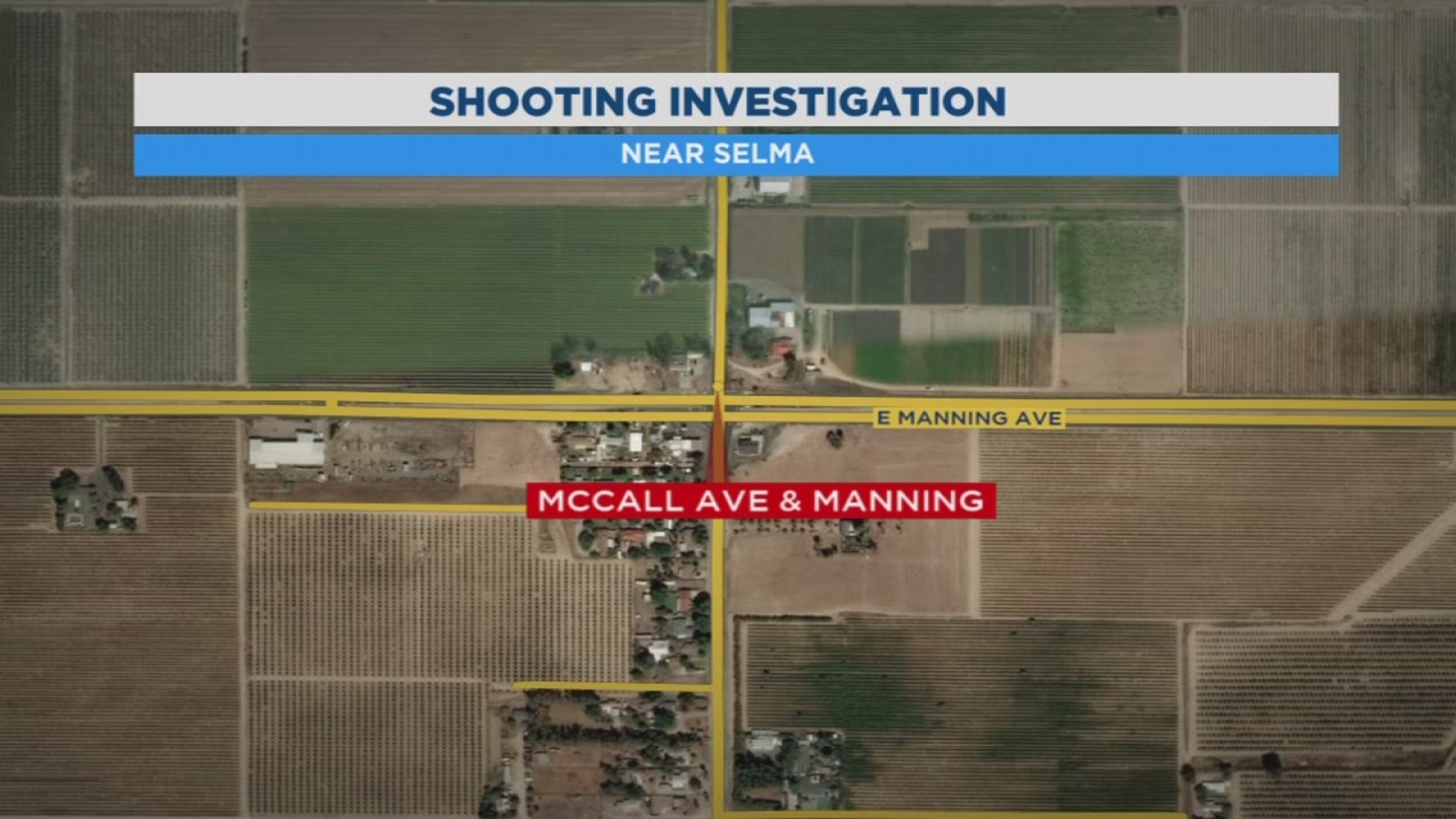 Sheriff's deputies searching for suspect after man shot outside Selma ...