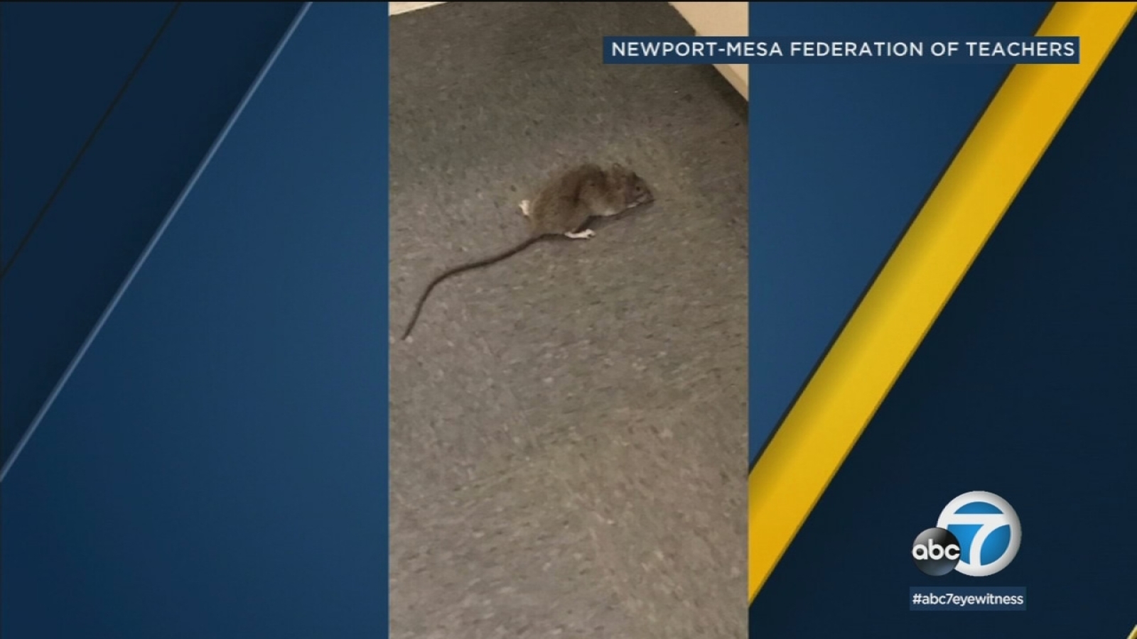 Students, teachers protest ongoing rat problem at Newport Harbor High ...