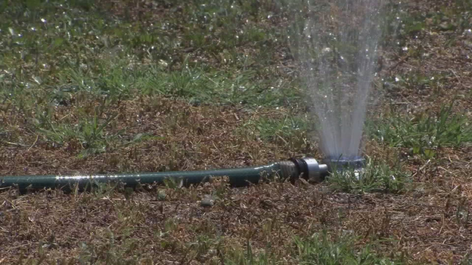 Fresno residents can now monitor water usage online - ABC30 Fresno