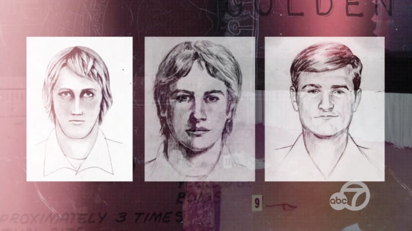 Local sleuths, inspired by crime writer, aimed to solve Golden State ...