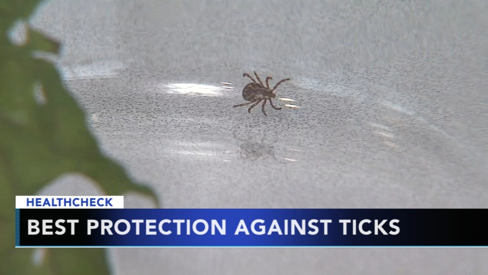 Tips for avoiding tick bites this summer - 6abc Philadelphia