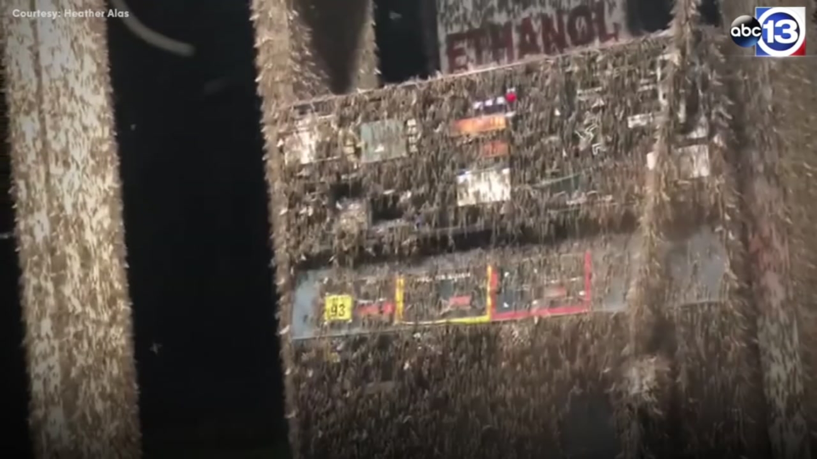 Family films frightening sight of mayflies swarming gas station in ...