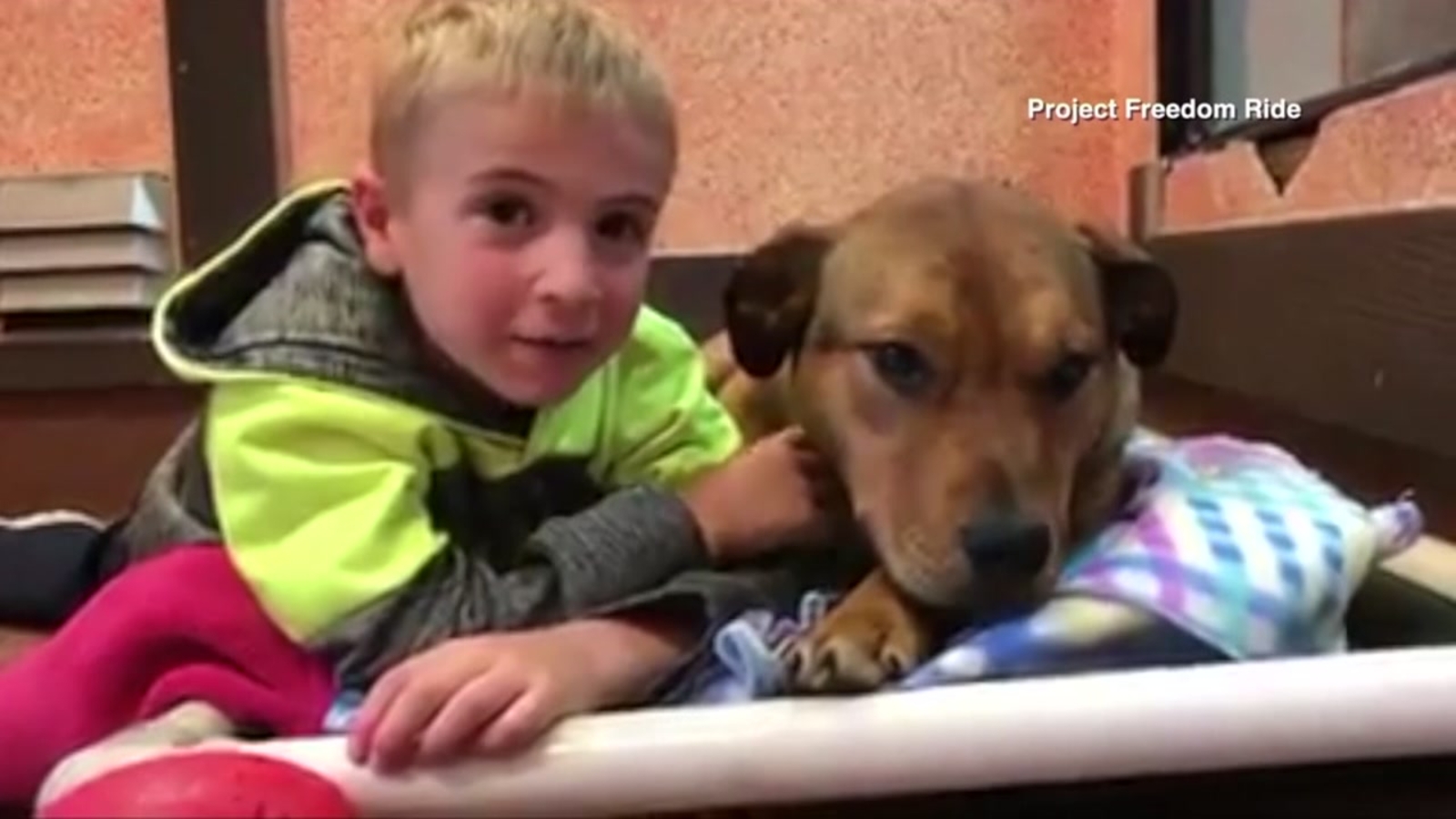 1,000 dogs saved from euthanasia thanks to 6-year-old boy - ABC13 Houston