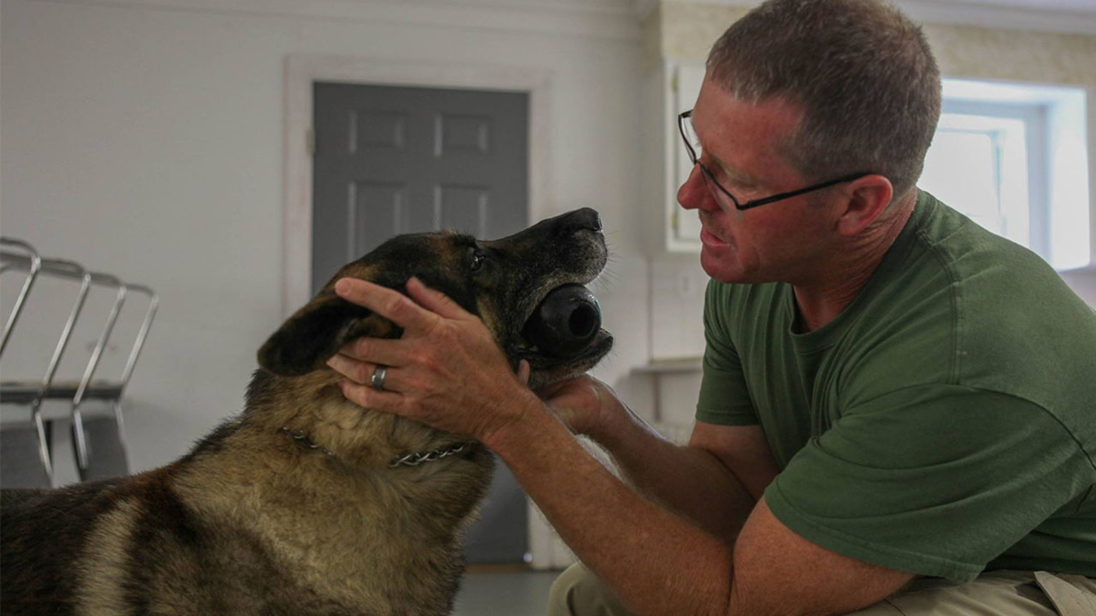 Wilson Police K9 dies day after retirement - ABC11 Raleigh-Durham