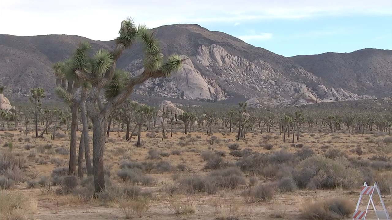 Partially buried human remains discovered at Joshua Tree National Park ...