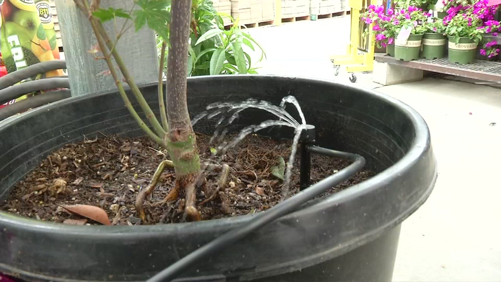 7 On Your Side: Drip irrigation saves water, keeps plants alive - ABC7 ...