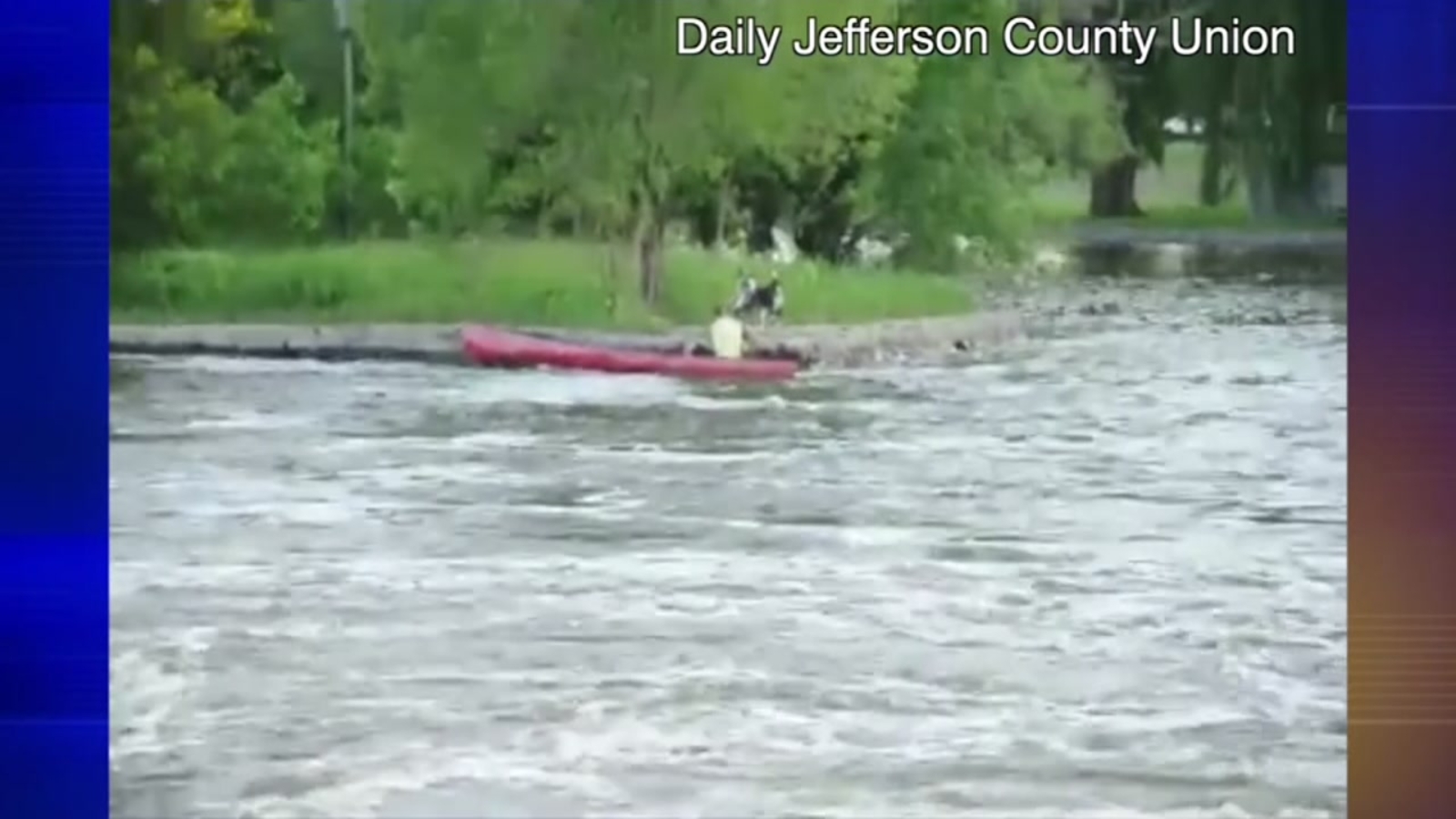 Bartender jumps into river to save drowning goat named Elsa - ABC13 Houston