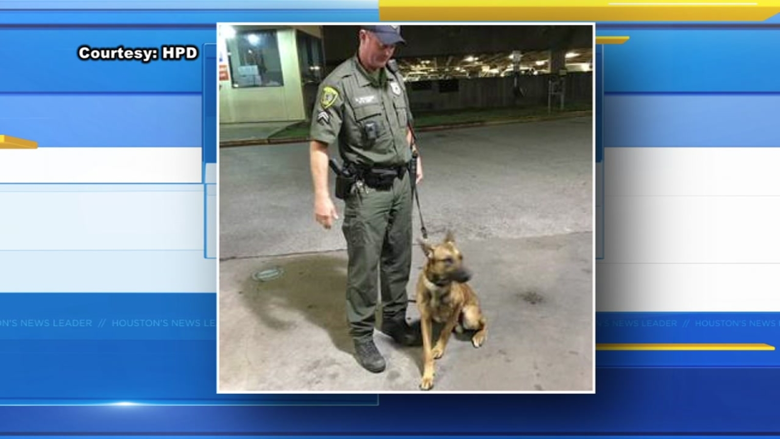 Houston Police Department's new canine makes first catch - ABC13 Houston