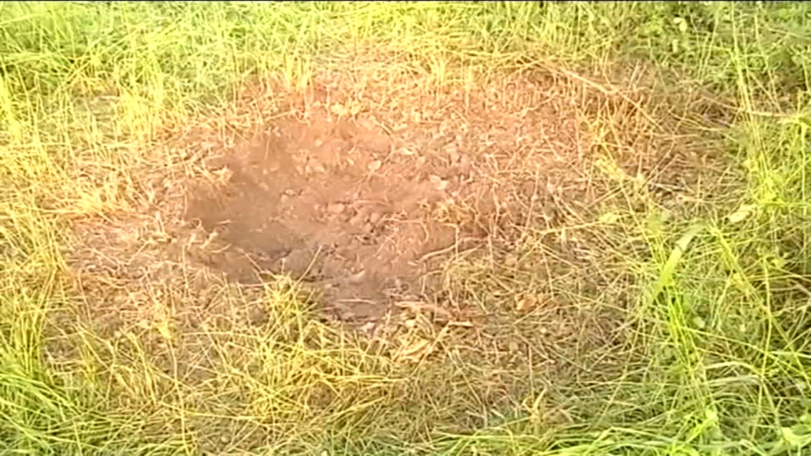 Lawnmower trips explosive device lying in the grass causing large ...