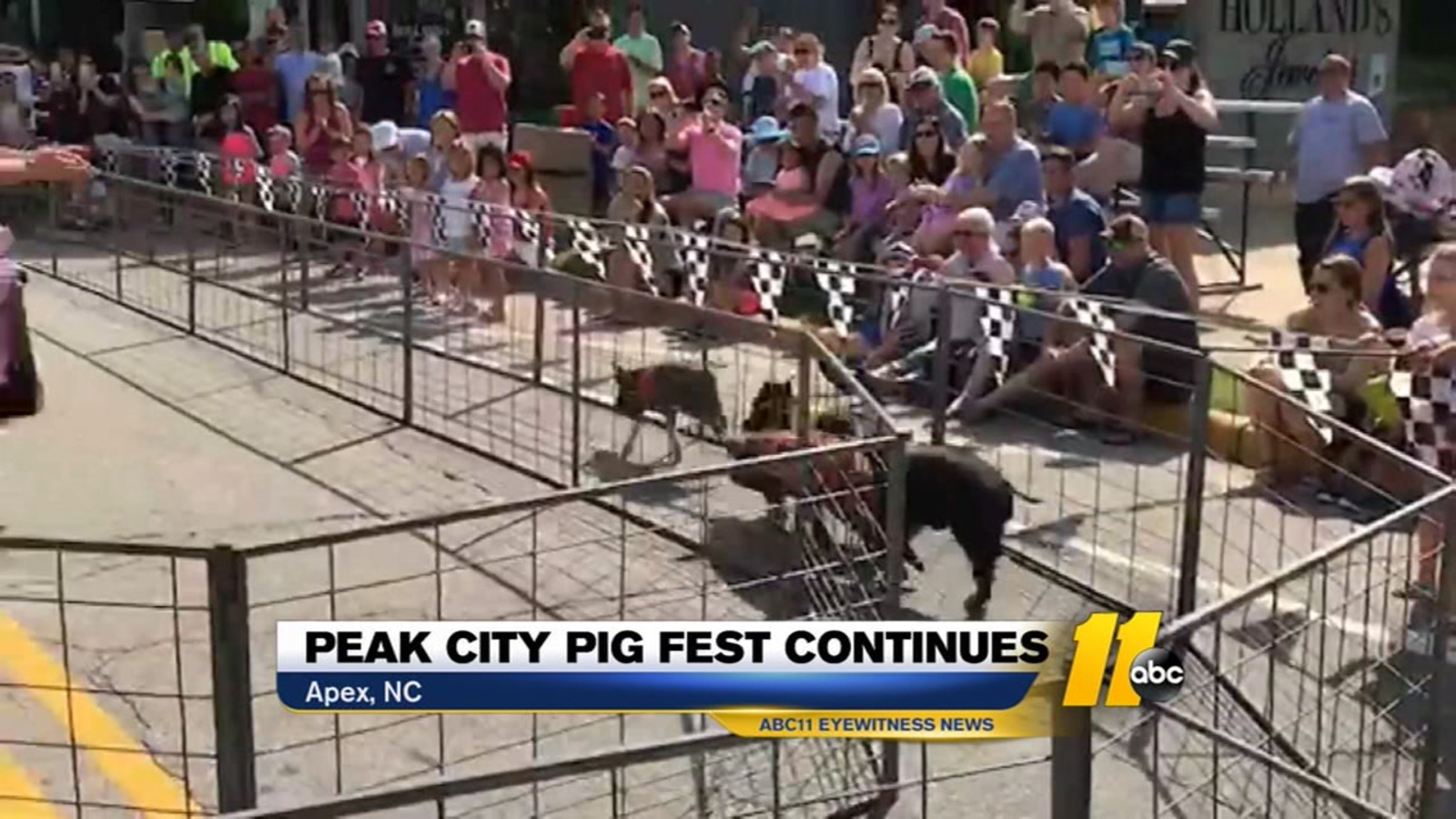 Peak City Pig Fest continues in Apex - ABC11 Raleigh-Durham
