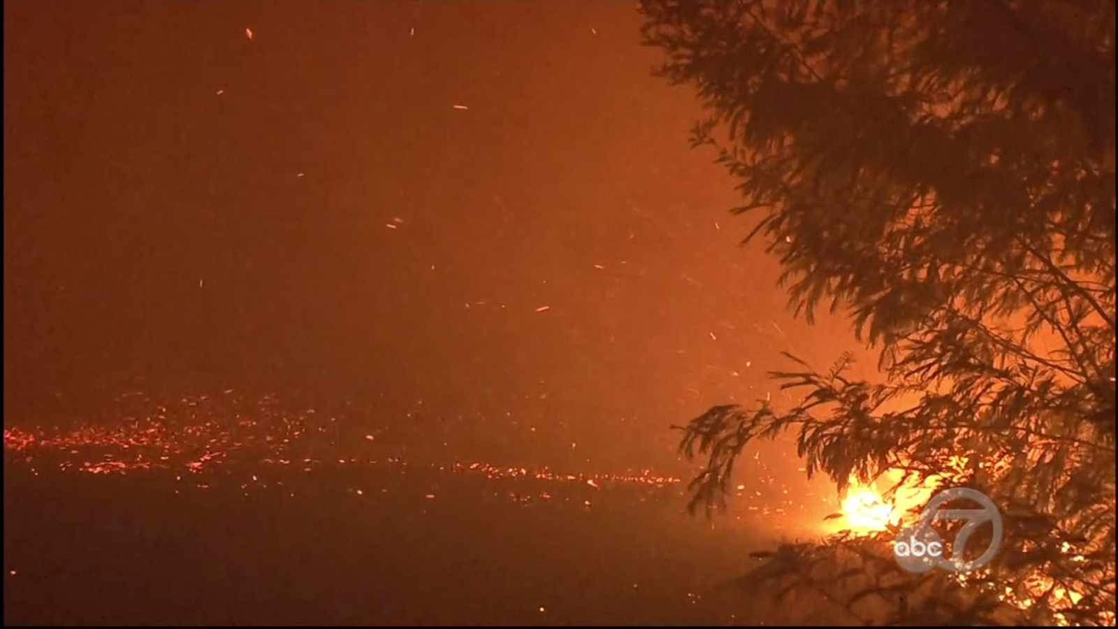 Research project launched to study effects of North Bay Fires on ...