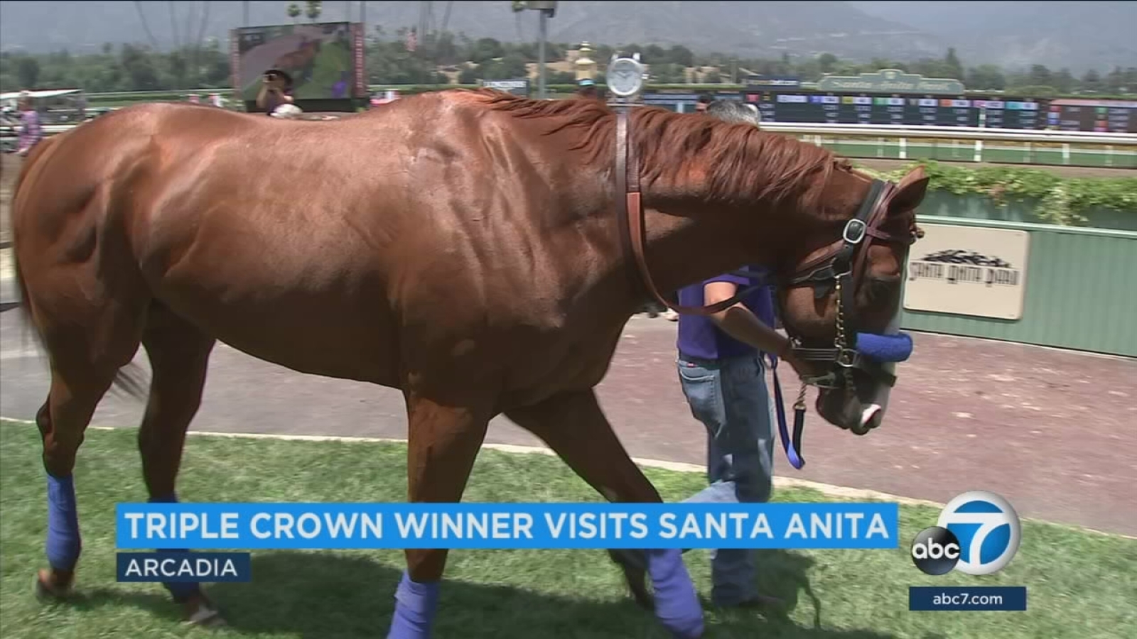 Triple Crown winner Justify visits Santa Anita Park - ABC7 Los Angeles