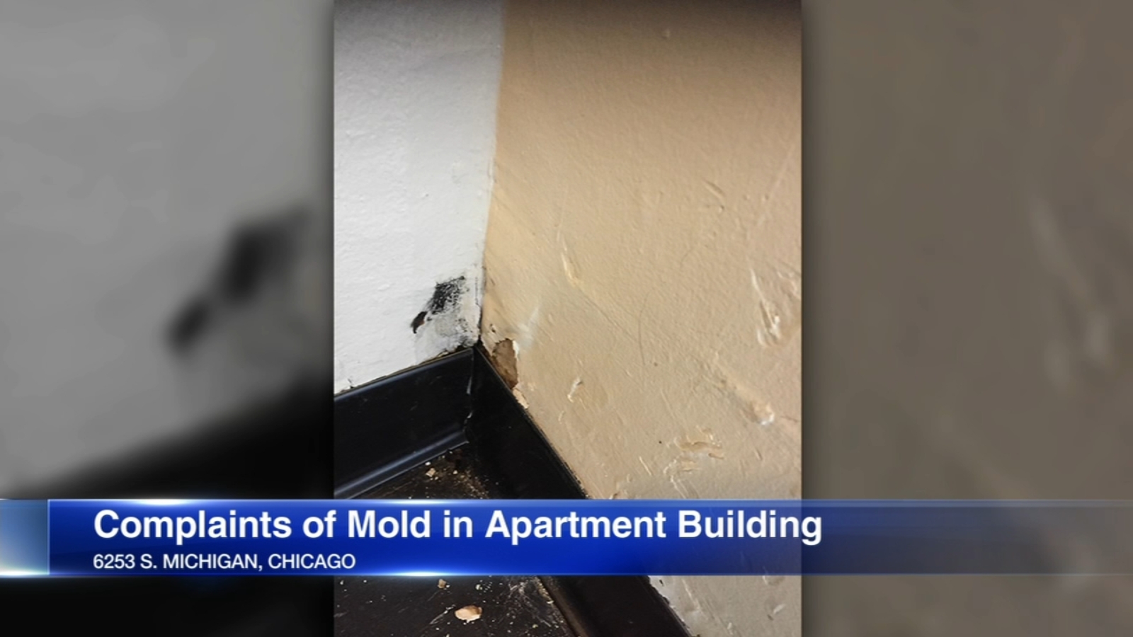 Washington Park high rise residents complain about mold, leaky windows ...