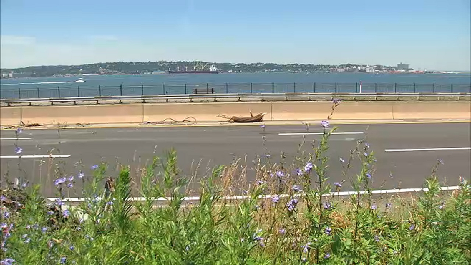 Freak accident: Man impaled by tree branch while driving on Belt ...