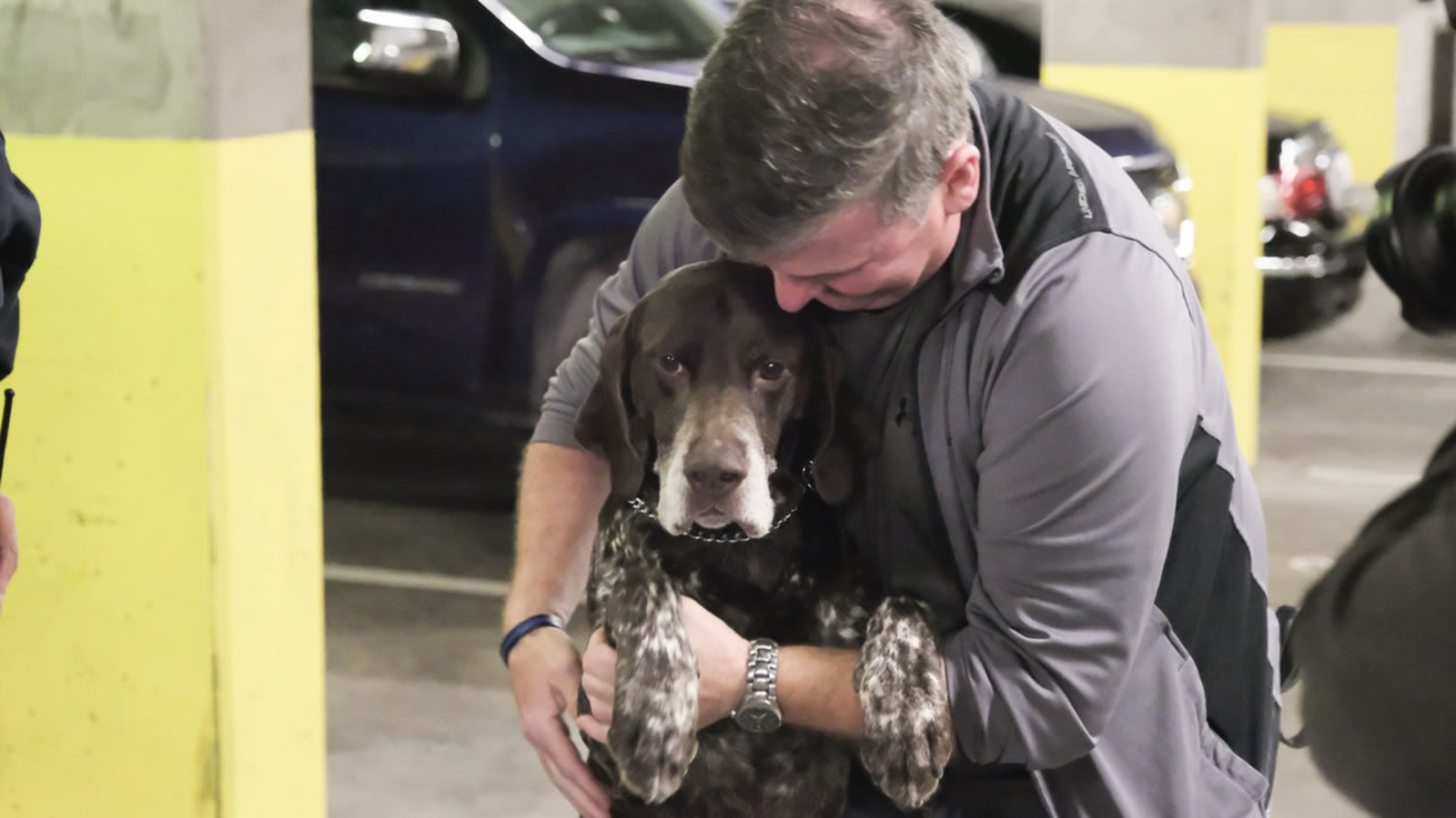 The Waiting: San Francisco police dog, owner can finally retire ...