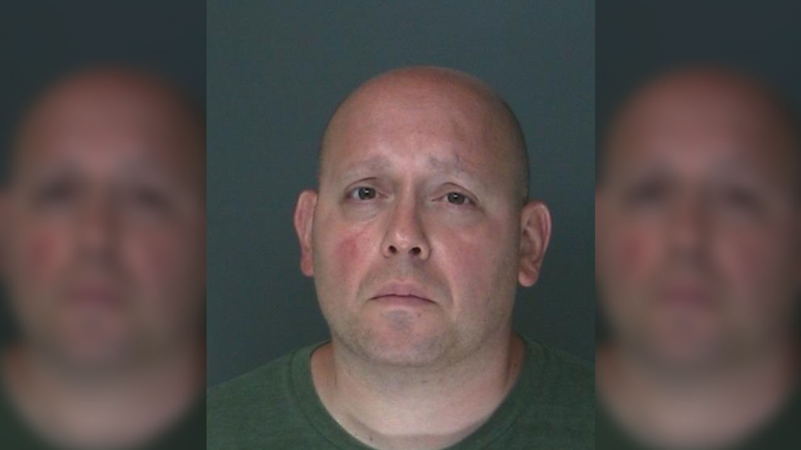 3 Rottweilers found dead after 11 hours in hot car in Shirley, Long ...