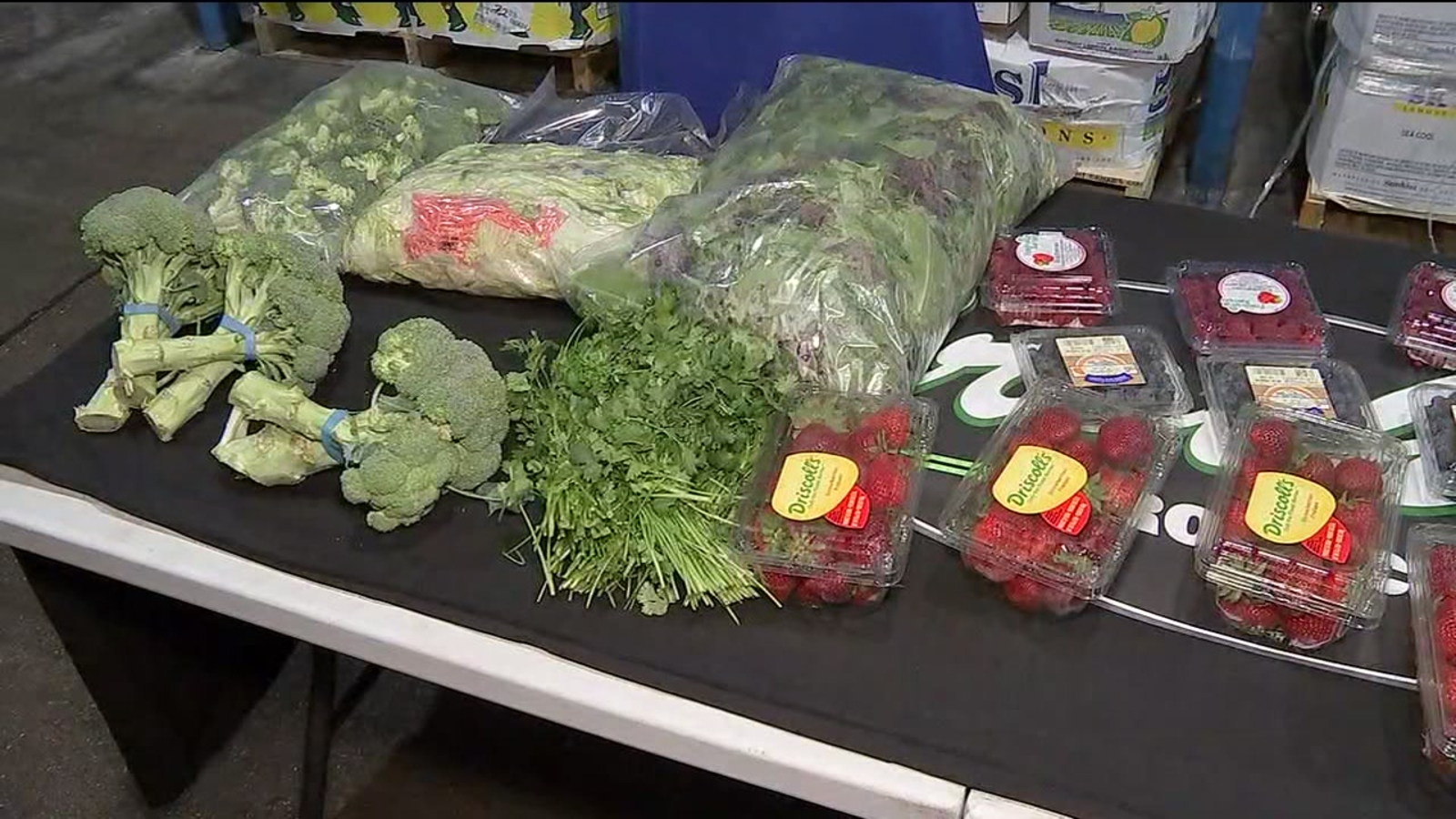 PARASITE OUTBREAK: How to avoid the illness that spreading across Texas ...