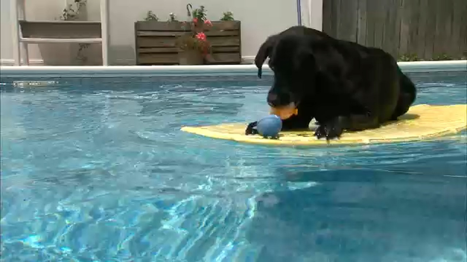 7 On Your Side: Owner says she was never paid for video of boogie ...