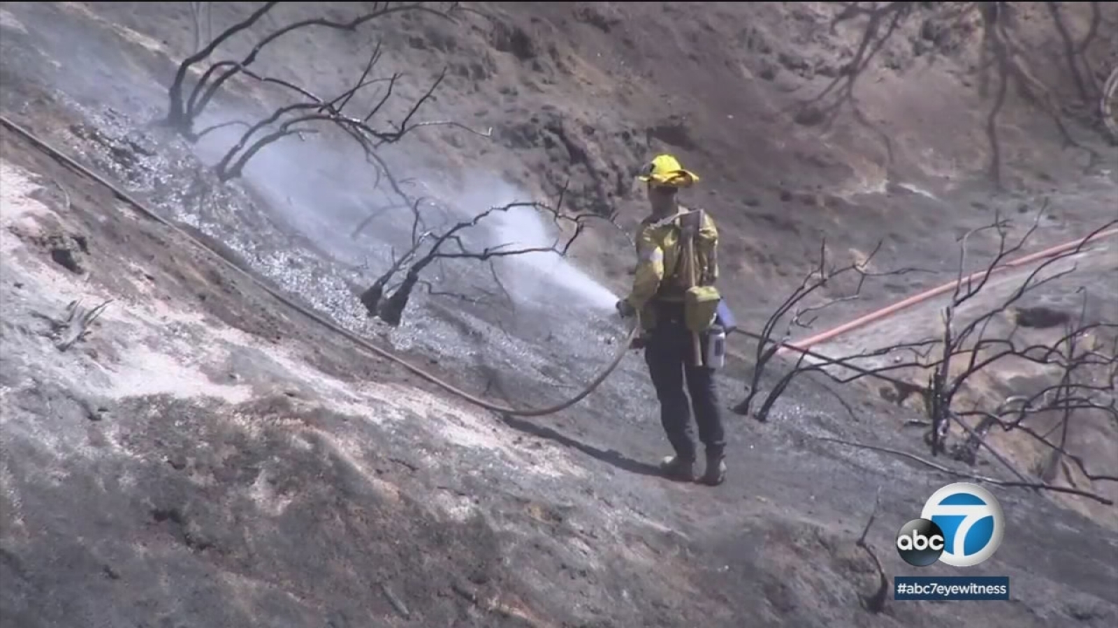 Griffith Park Fire 100 percent contained after burning 25 acres ...