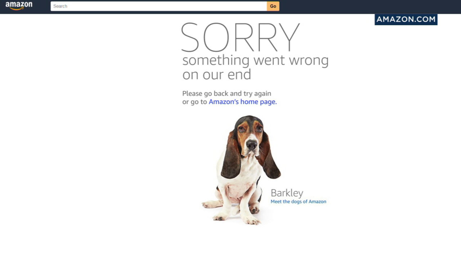 Amazon Prime Day: website crashes at launch of hyped shopping event ...