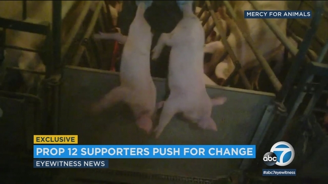 2018 ELECTION RESULTS: Which California propositions passed, failed ...