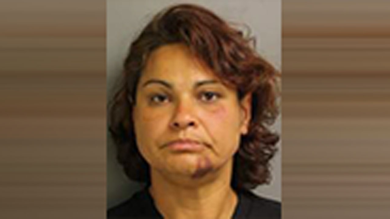 Woman charged with arson after admitting to causing Cypress house fire ...