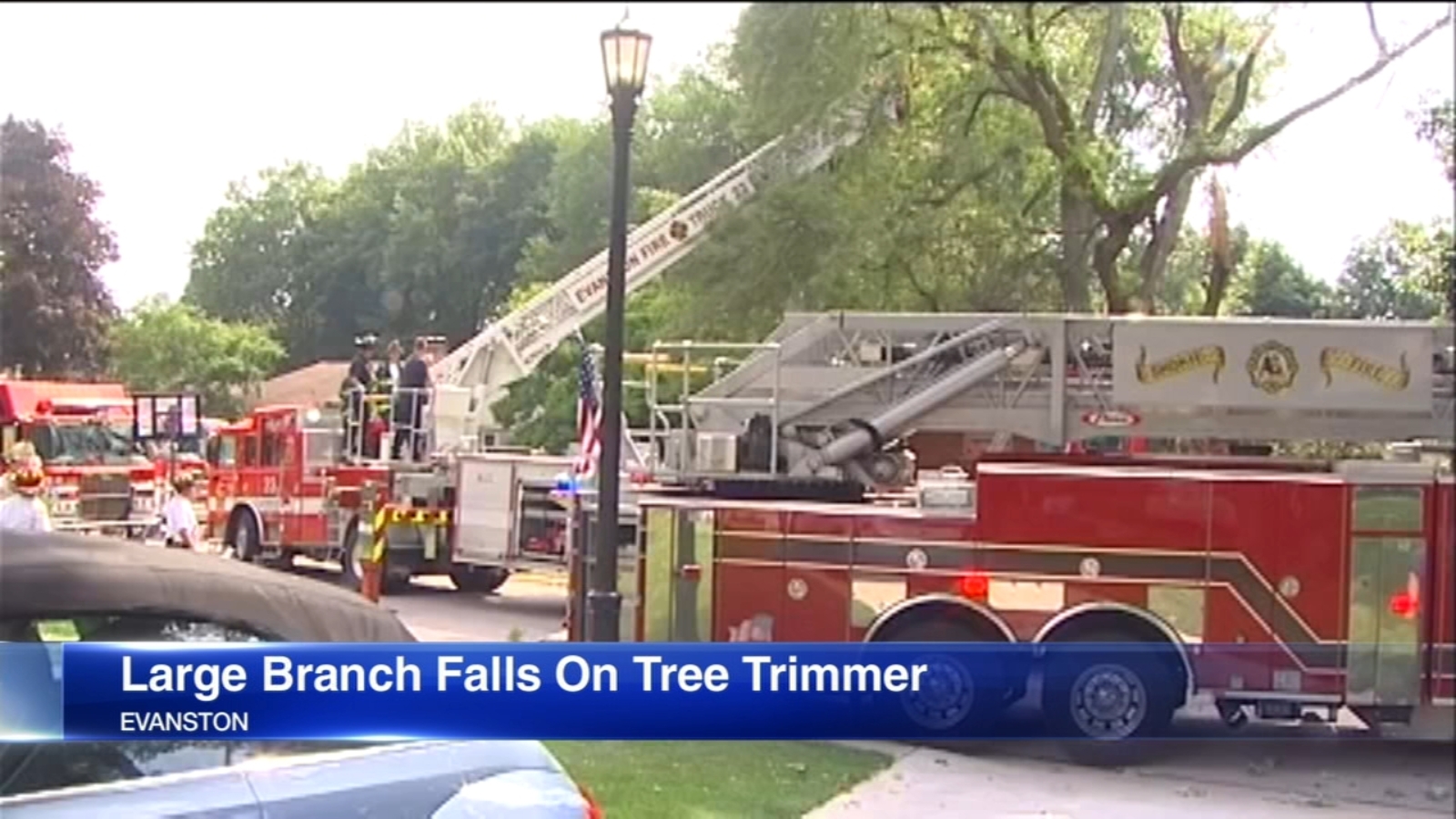 Evanston tree trimmer critically injured after being hit by branch ...