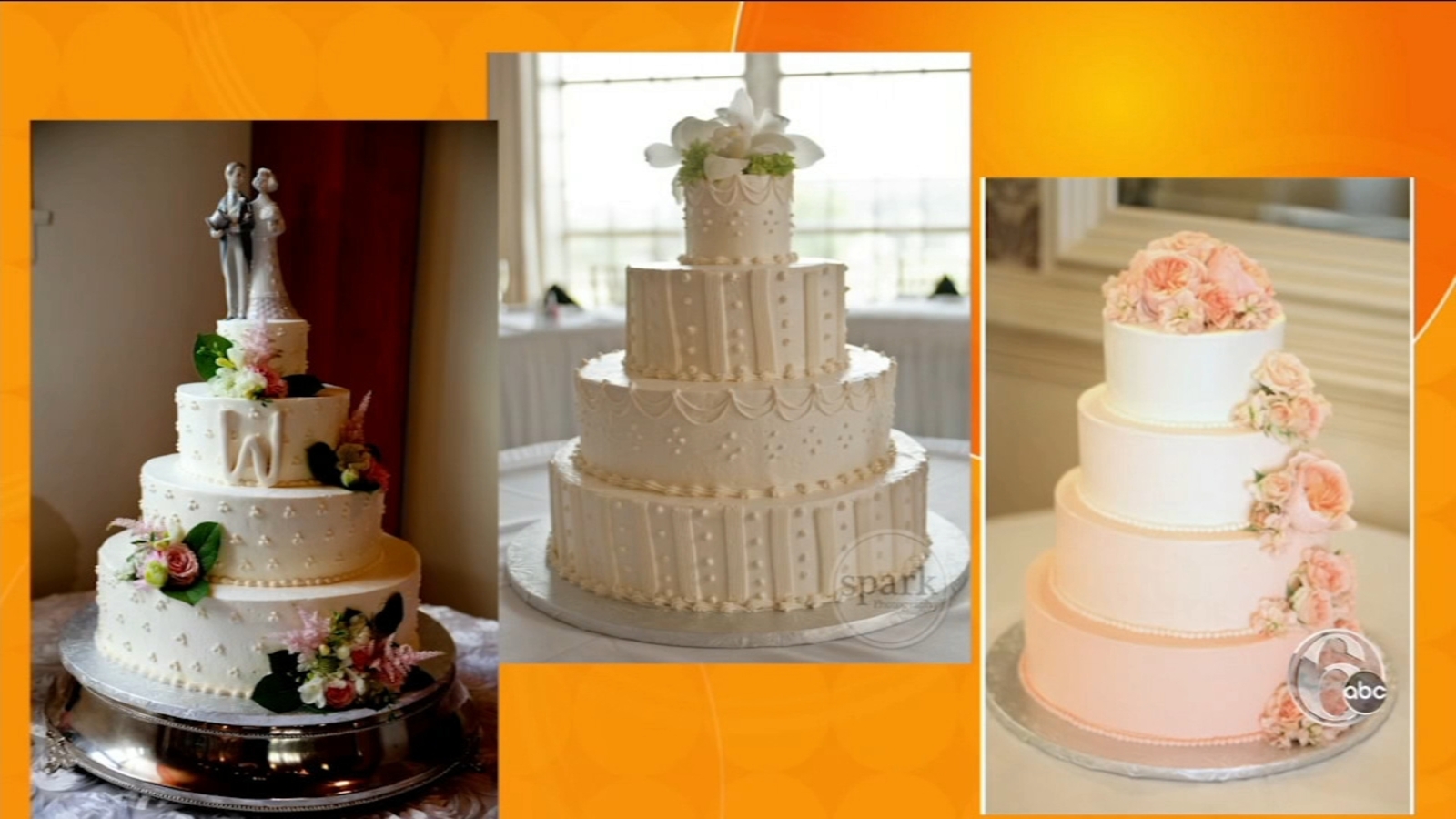 Amazing cake makers Frosted Fox & Aux Petits Delices - 6abc Philadelphia