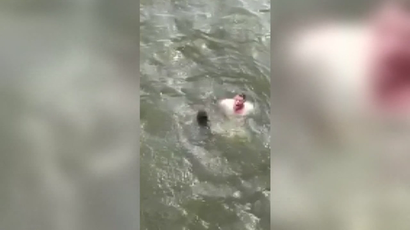 Man jumps off bridge to save dog who plunged into water - ABC13 Houston