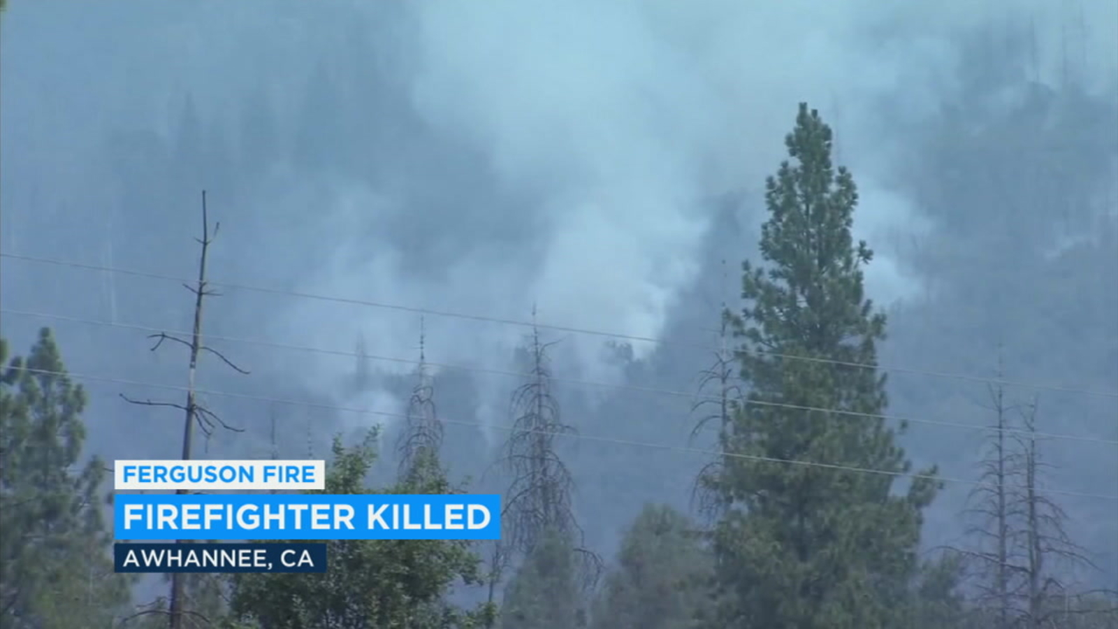 Firefighter struck by tree, killed while battling Ferguson Fire - ABC7 ...