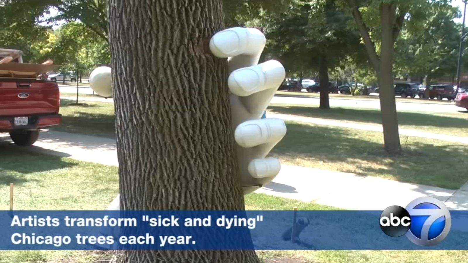 Artists transform 'sick and dying' Chicago trees - ABC7 Chicago