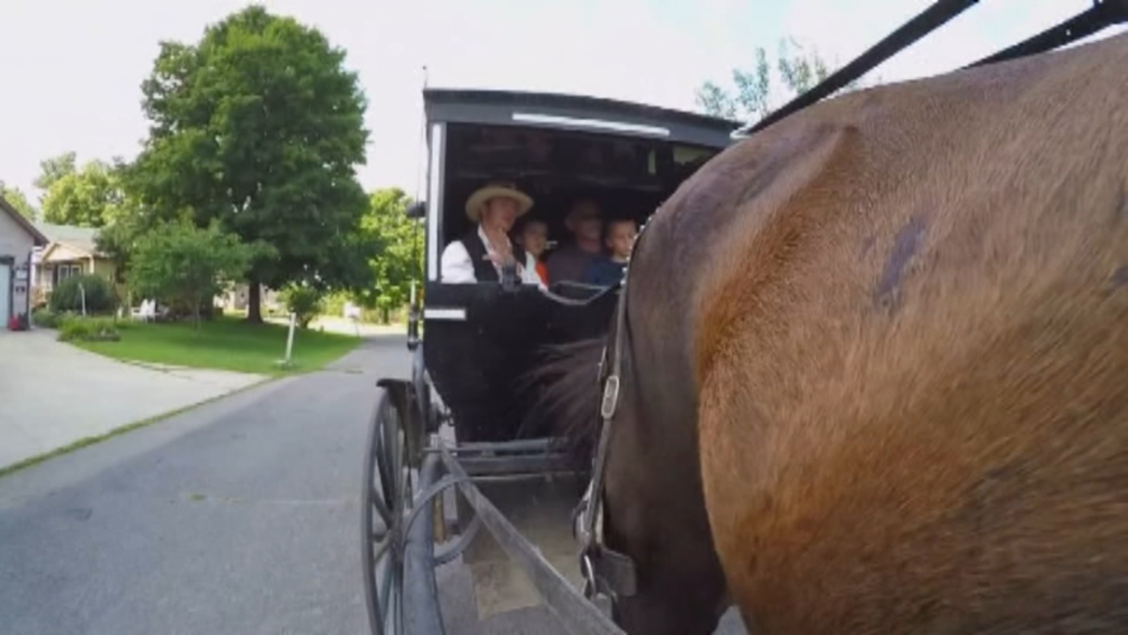 Amish man puts new spin on ride-sharing with Amish Uber - ABC7 New York