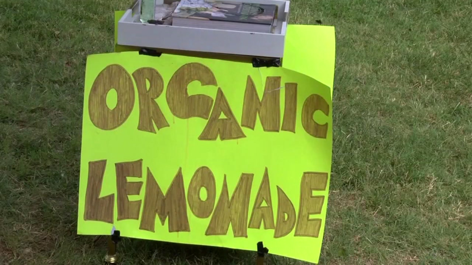 Deputies looking for armed teen who held up boy's lemonade stand ...
