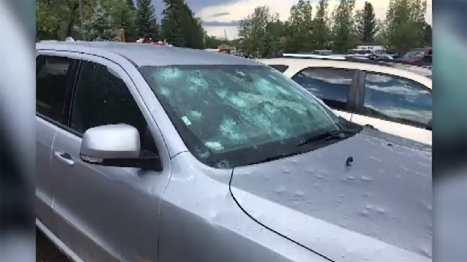 Hail hurts 14 people, kills 2 birds at Colorado zoo - 6abc Philadelphia