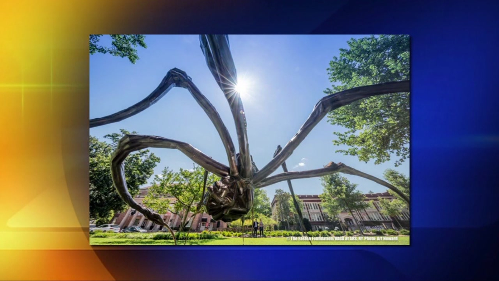 Yes, that is a giant spider sprawling on the UNC campus - ABC11 Raleigh ...