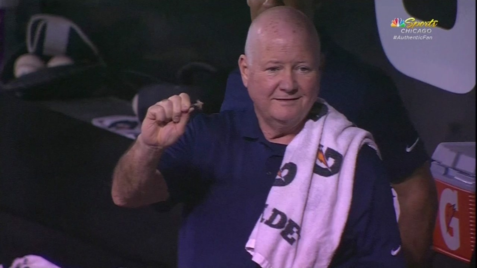 Oh my! Moth flies into umpire's ear, stops ball game - ABC11 Raleigh-Durham