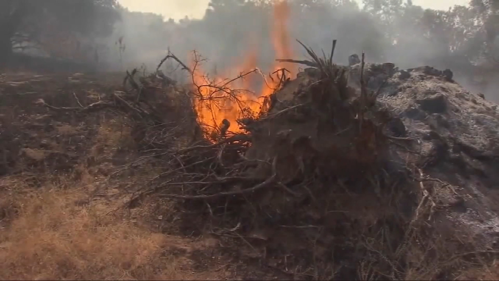 Firefighters getting the upper hand on Ferguson Fire burning in ...