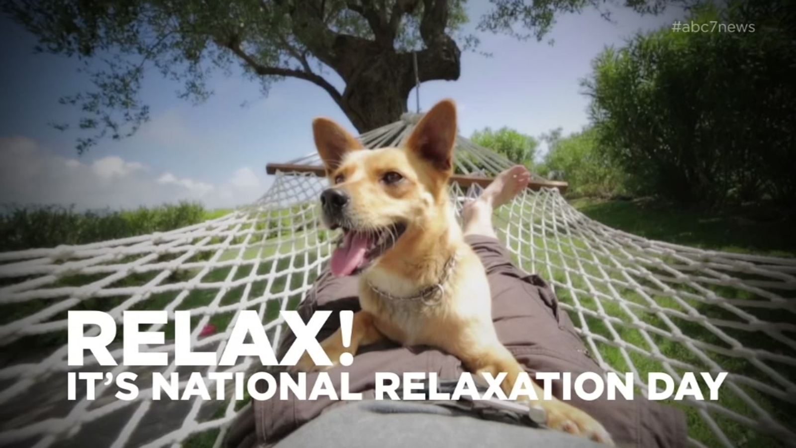 Take a break - it's National Relaxation Day! - ABC7 San Francisco