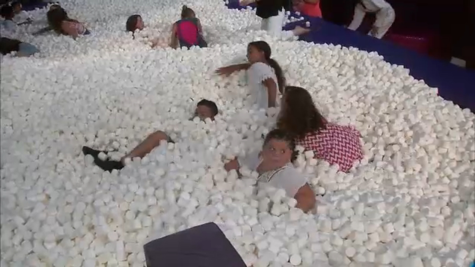Candytopia interactive art exhibit opens in New York City - ABC7 New York