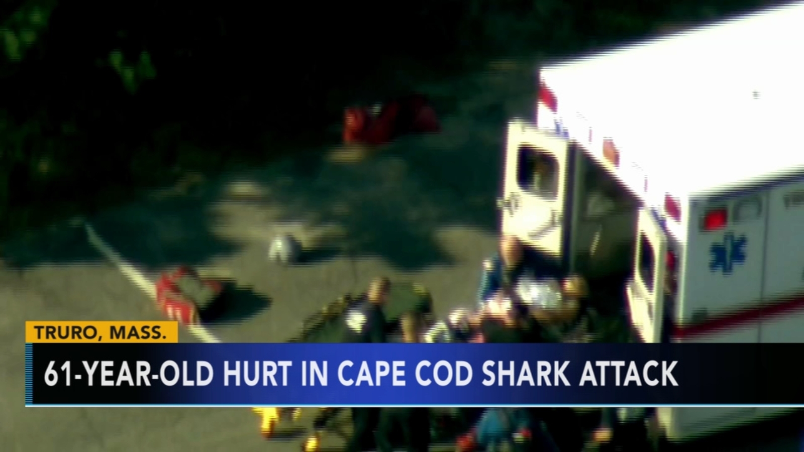 Shark attacks swimmer on Cape Cod - 6abc Philadelphia
